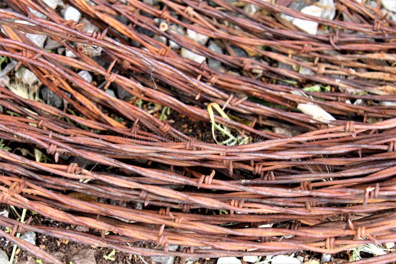 Barbed wire stock photo. Image of arranged, devices, discomfort - 92609942