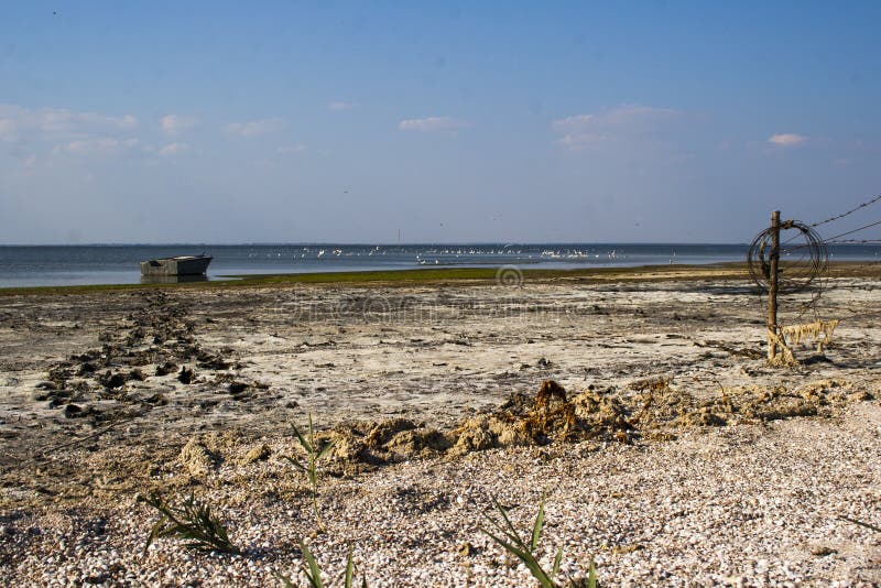 Barbed Wire by the Sea and Boat Stock Photo - Image of retro, landscape ...