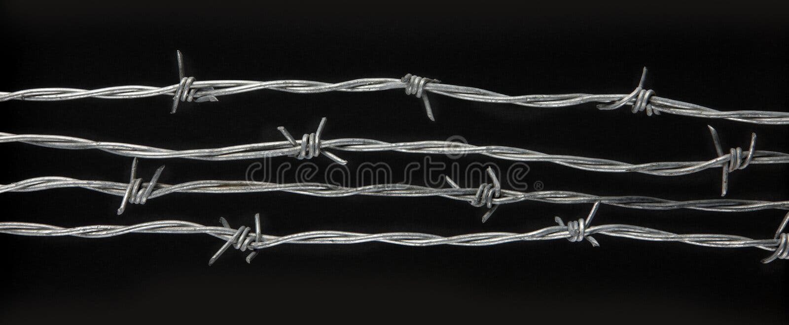 Barbed wire stock image. Image of sharp, barb, prickly - 80465451