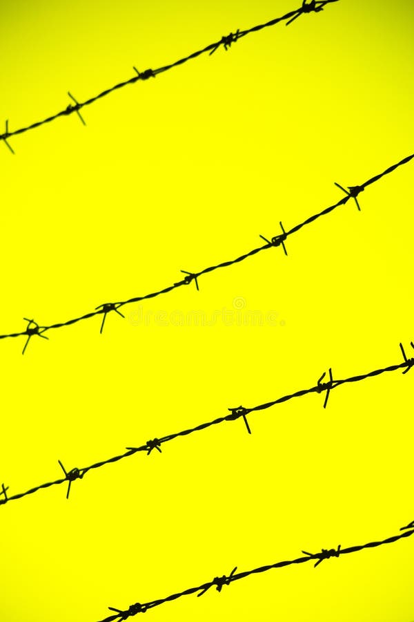 Barbed Wire Silhouette Against Yellow Background Stock Photo - Image of ...