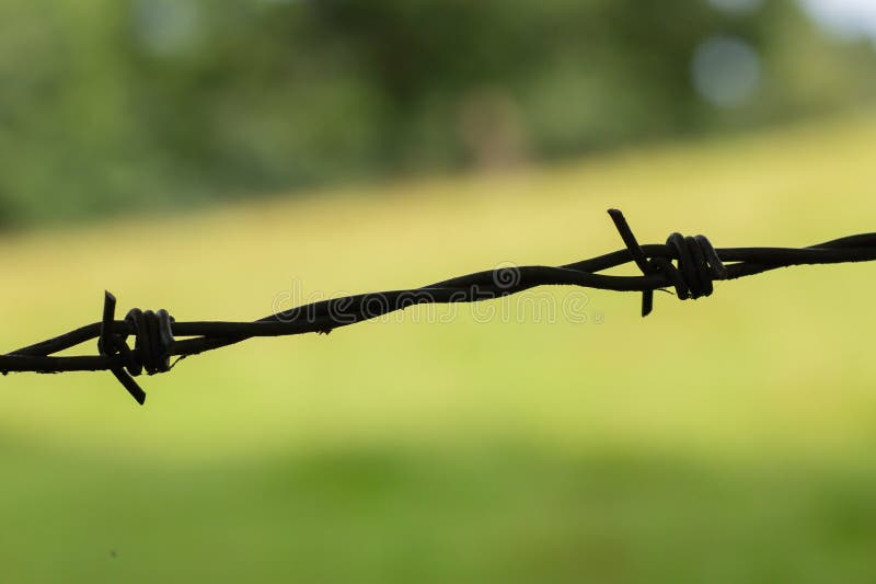 Barbed Wire - Simple but Effective Stock Image - Image of inexpensive ...