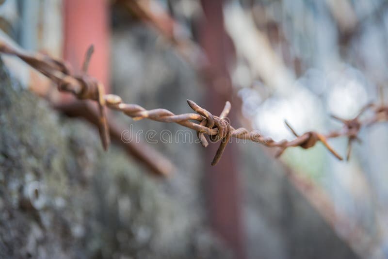 Barbed fire on a wall stock photo. Image of wire, borders - 40389822