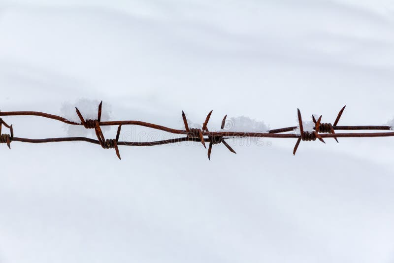 761 Barbed Wire Banner Stock Photos - Free & Royalty-Free Stock Photos ...