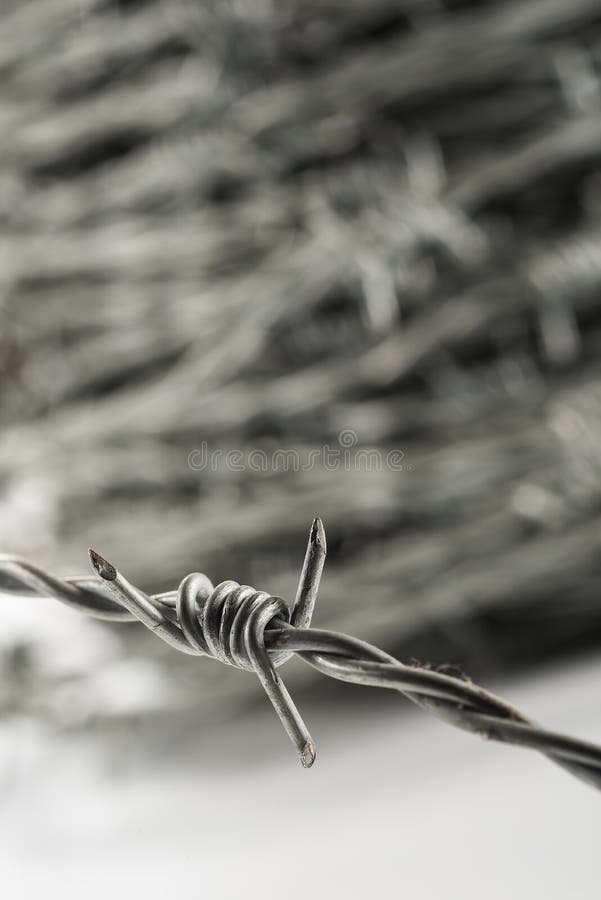 Barbed Wire Spirals with Selective Focus Stock Image - Image of limit ...