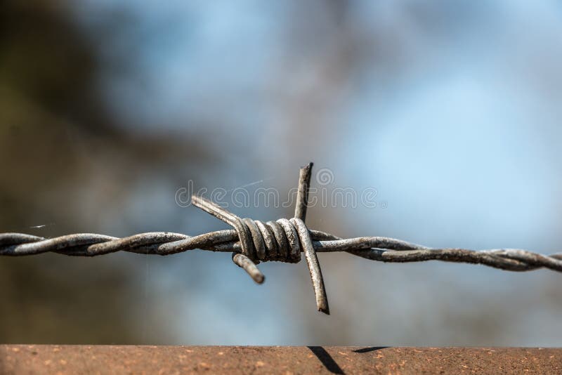 Infinity Barbed Wire Stock Photos - Free & Royalty-Free Stock Photos ...