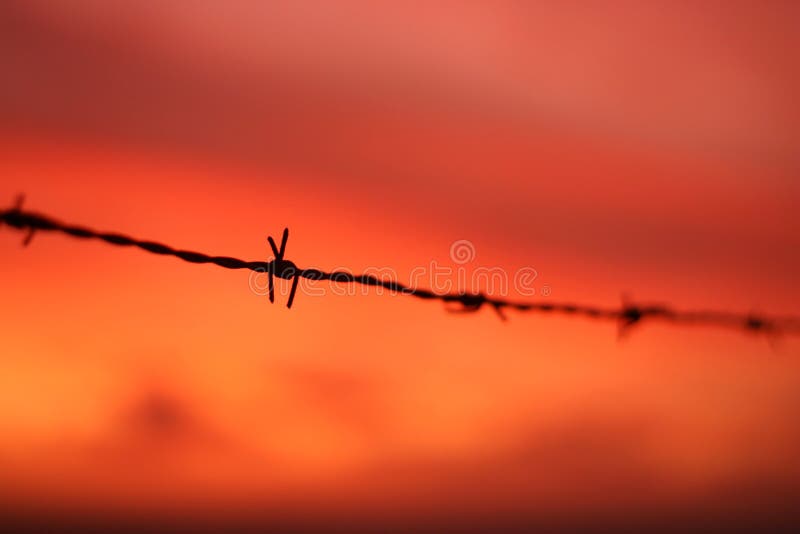 Barbed wire at sunset stock image. Image of barbwire, dusk - 2089273