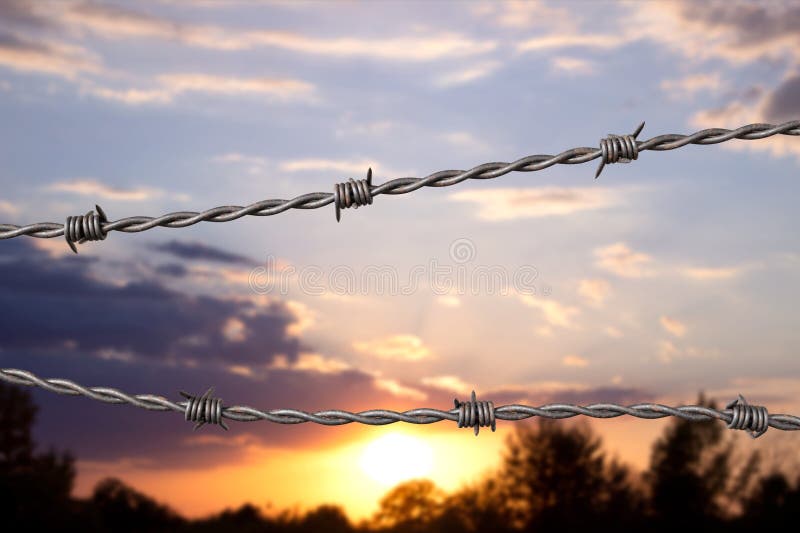Barbed wire at sunset stock image. Image of nature, barbed - 372869803