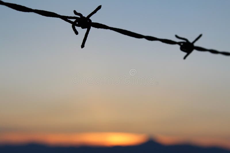 Barbed wire sunset stock image. Image of background, endurance - 99051541