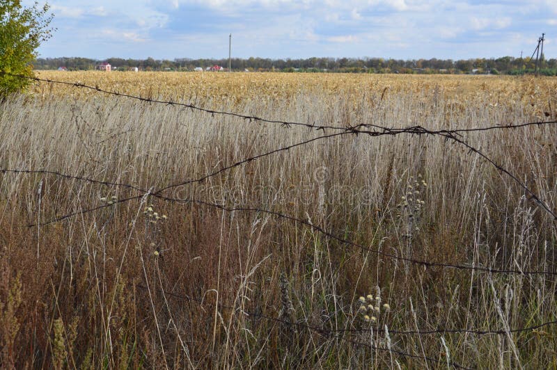 227 Farm Perimeter Stock Photos - Free & Royalty-Free Stock Photos from ...