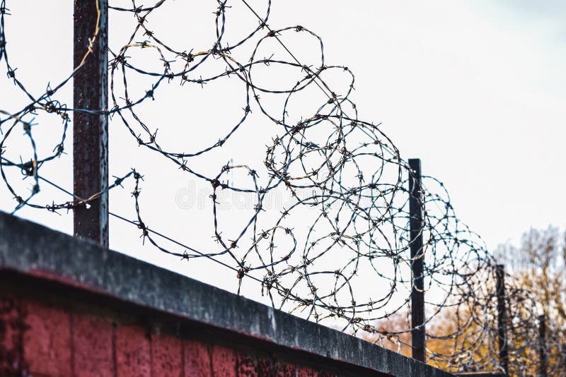 Barbed Wire on Top of a Red Wall. Stock Image - Image of industrial ...