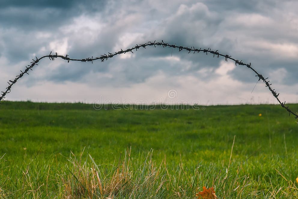 Barbed Wire Trembling in the Wind on the Dark Stormy Clouds Background ...