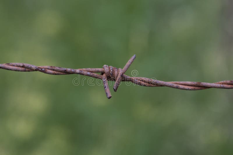 Barbed wire stock image. Image of black, boundary, pattern - 95075367