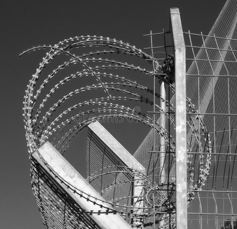 Barbed Wire is a Type of Steel Fencing Wire Constructed with Sharp ...