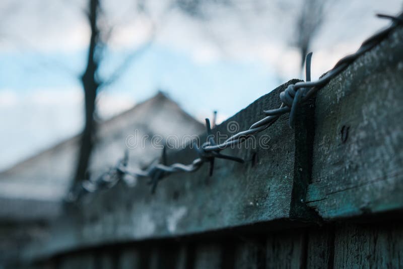 Barbed Wire Under Electricity Above the Fence Stock Image - Image of ...