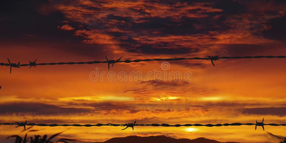 1,009,297 War Stock Photos - Free & Royalty-Free Stock Photos from ...