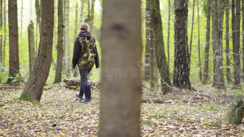 Barbed Wire in the Woods. Border, Forbidden Zone Stock Video - Video of ...