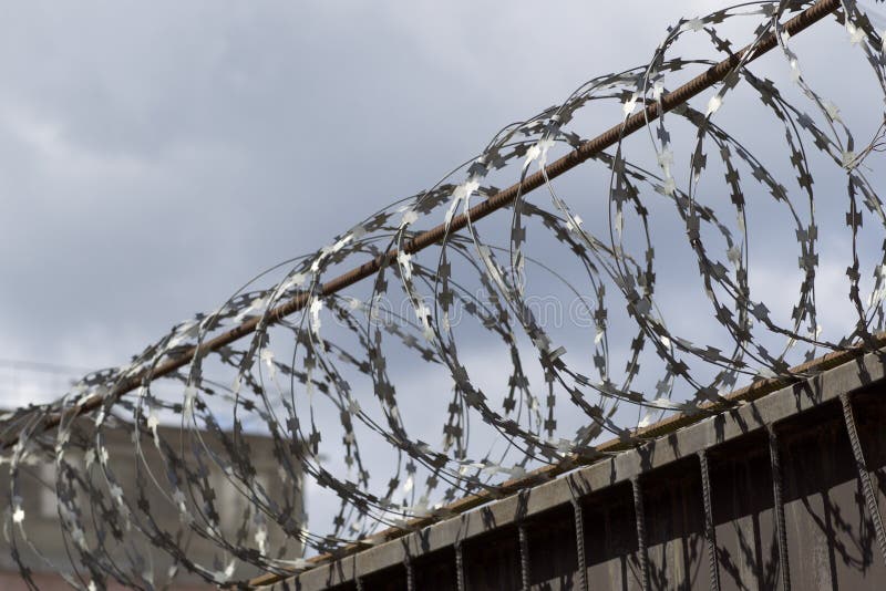 Barbed Wire Wound To the Top of a Fence Stock Photo - Image of hedge ...