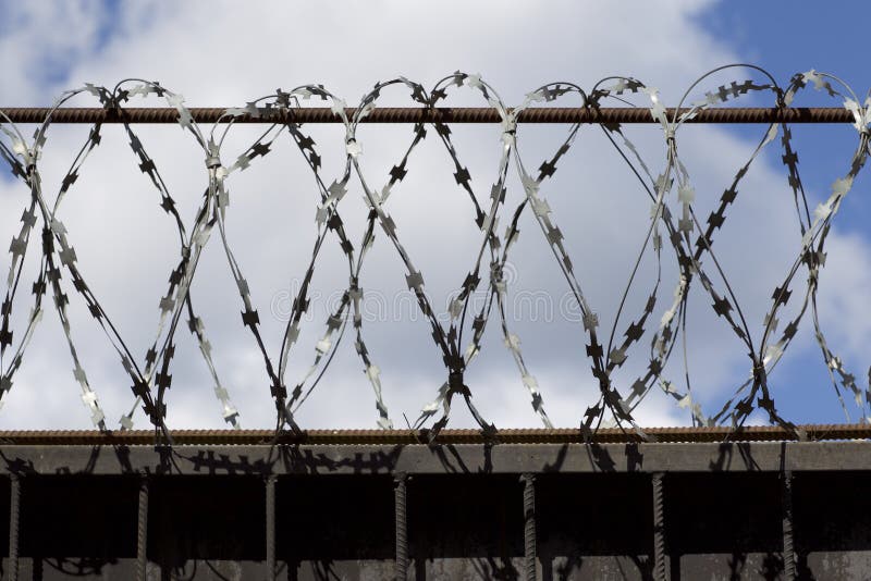Barbed Wire Wound To the Top of a Fence Stock Photo - Image of hedge ...