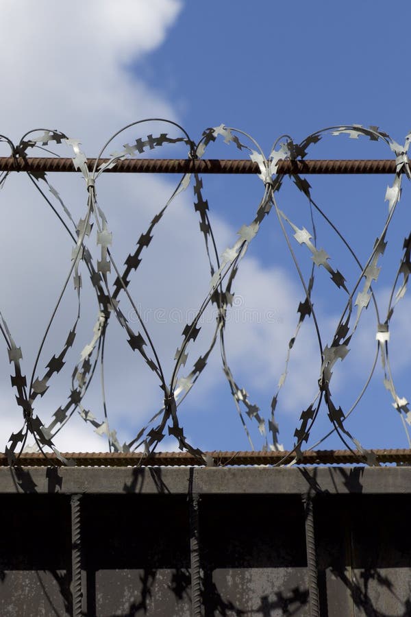 Barbed Wire Wound To the Top of a Fence Stock Image - Image of hedge ...