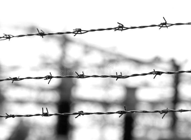 Barbed Wire in Black and White Stock Image - Image of memorial, border ...