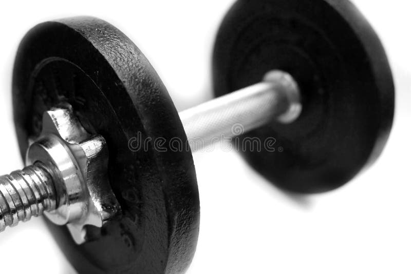 Barbell stock photo. Image of lift, sports, barbell, plates - 15677008