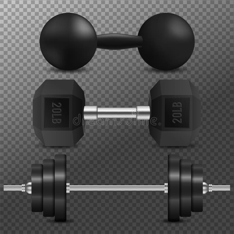 Barbell, Dumbbells and Kettlebell Vector Stock Vector - Illustration of ...