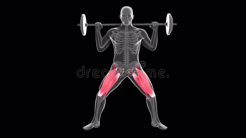 3d Animation of the Lateral Movement of Blood Components. Stock Footage ...