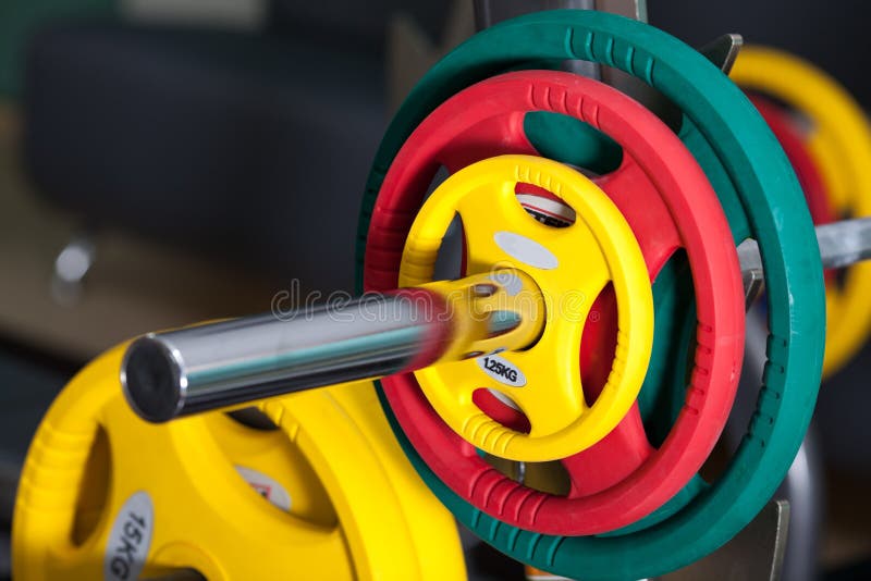 Barbells - gym equipment stock photo. Image of slim, body - 30682596