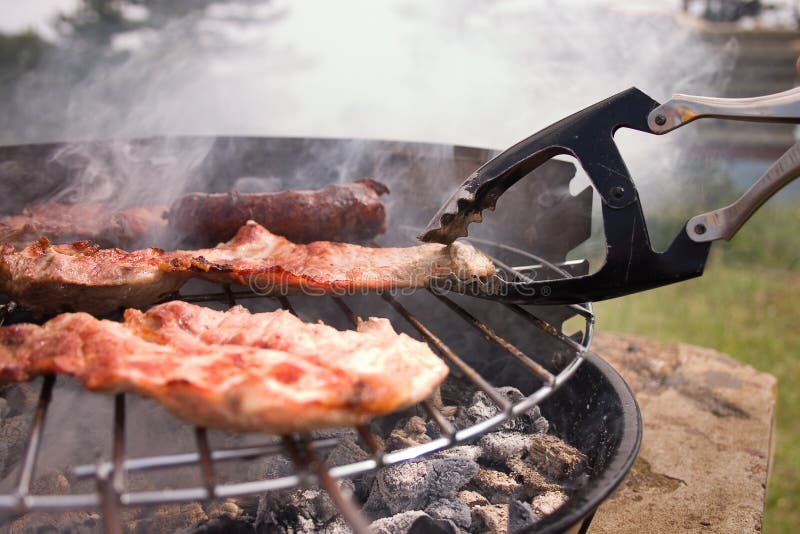 Barbeque stock image. Image of backyard, nature, heat - 2537277