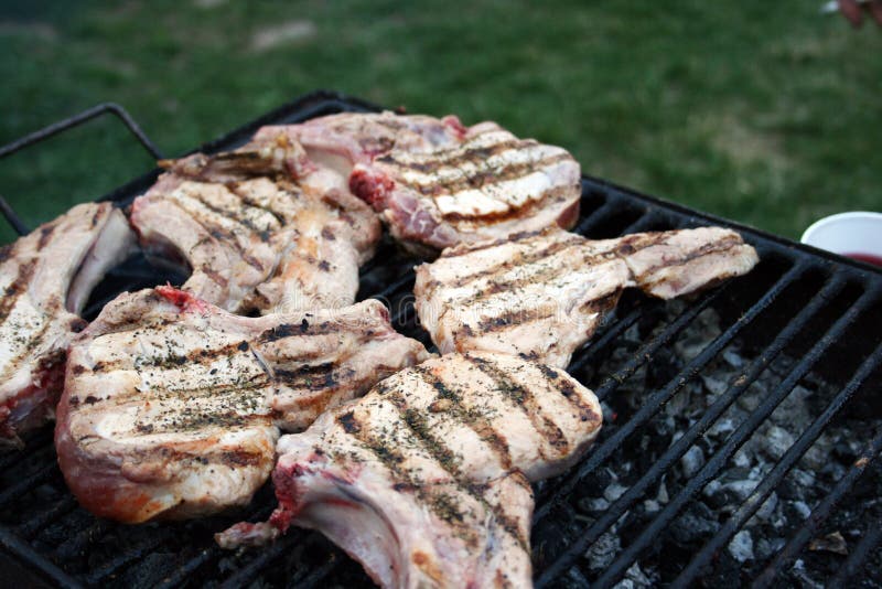 Barbeque stock photo. Image of burning, barbecue, grilled - 4610750