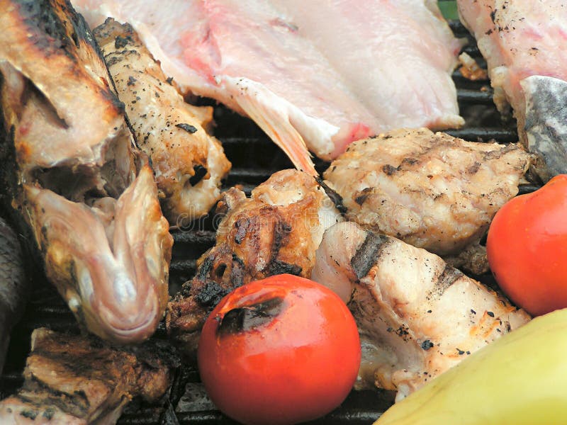 Barbeque stock image. Image of barbeque, close, vegetables - 58253