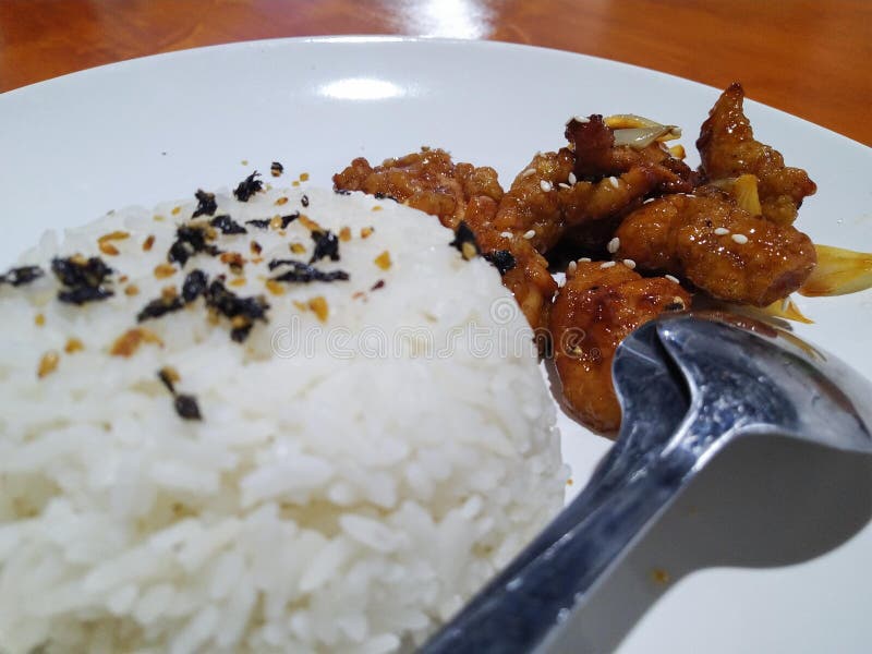 BBQ Chicken Rice stock image. Image of food, curry, dessert - 271257649