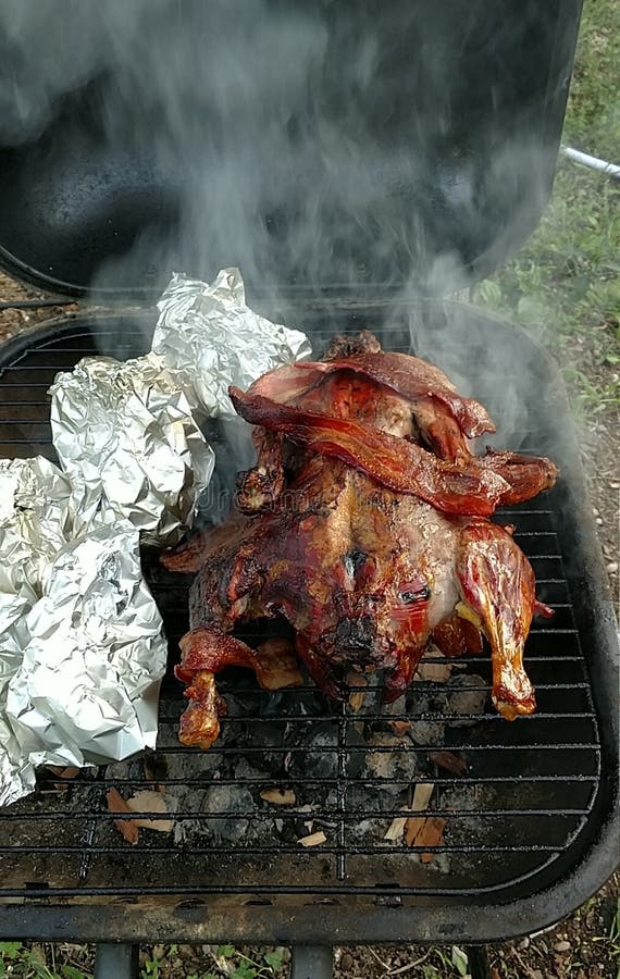 Barbeque Duck stock image. Image of muscovy, barbeque - 97969097