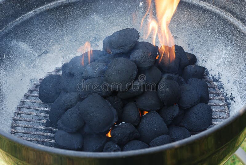 Barbeque fire stock photo. Image of grilling, fierce - 16970950