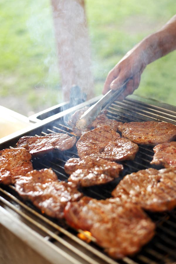 Barbeque stock image. Image of summer, hungrid, fire - 39493589