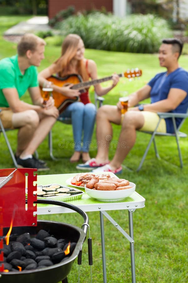 Barbeque party stock image. Image of outdoors, relax - 53020959