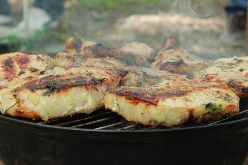 A barbeque stock image. Image of frying, meat, picnic - 42263827