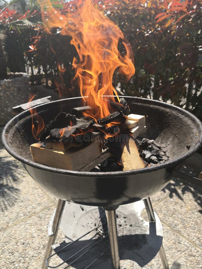 Barbeque stock photo. Image of preparation, outside - 179262118