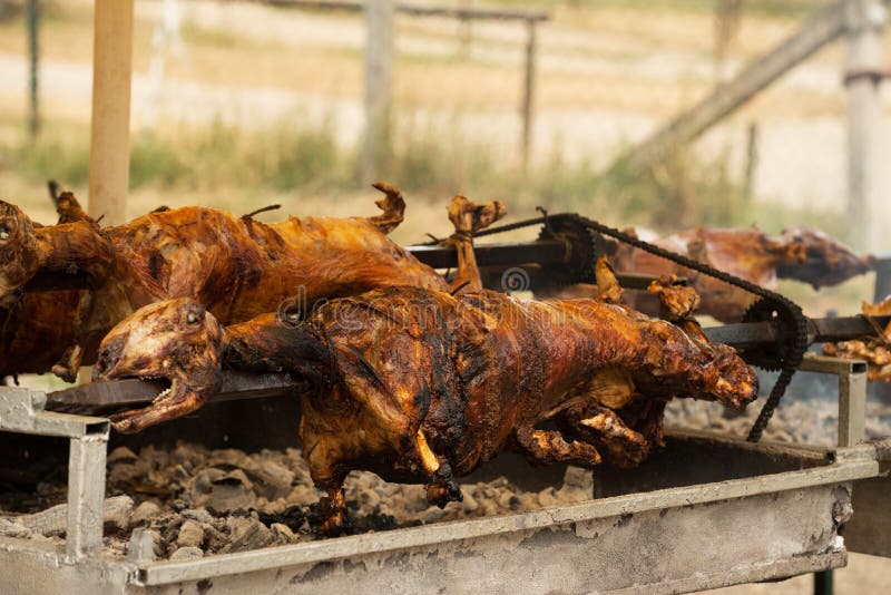 Barbeque stock image. Image of fair, meat, roast, tasty - 93182689