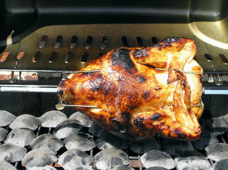 Barbequed Chicken stock image. Image of thanksgiving, chicken - 1105305