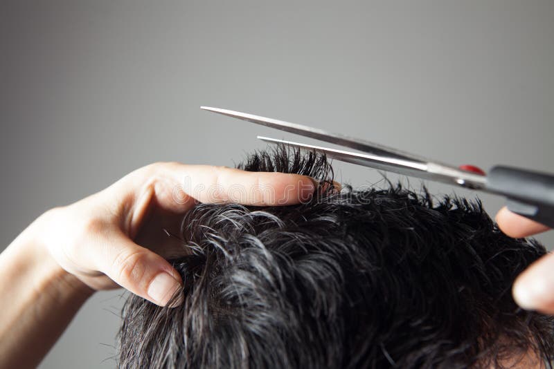 Barber Cuts Hair Men with Scissors Stock Photo - Image of male, salon ...