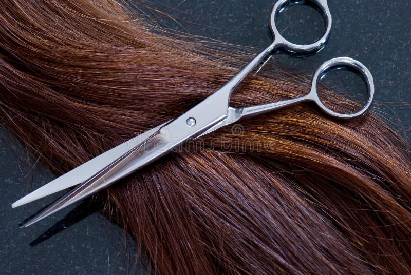 Barber Scissors and Hair stock image. Image of grooming - 29365857