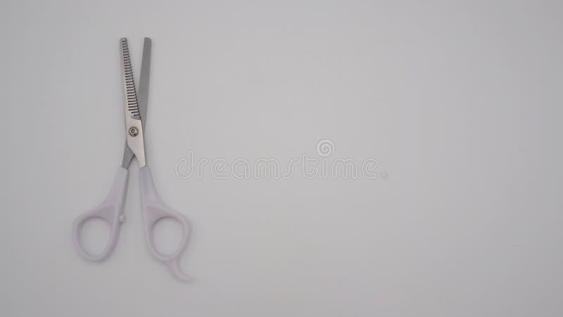 Barber Scissors for Haircut on White Background Stock Photo - Image of ...