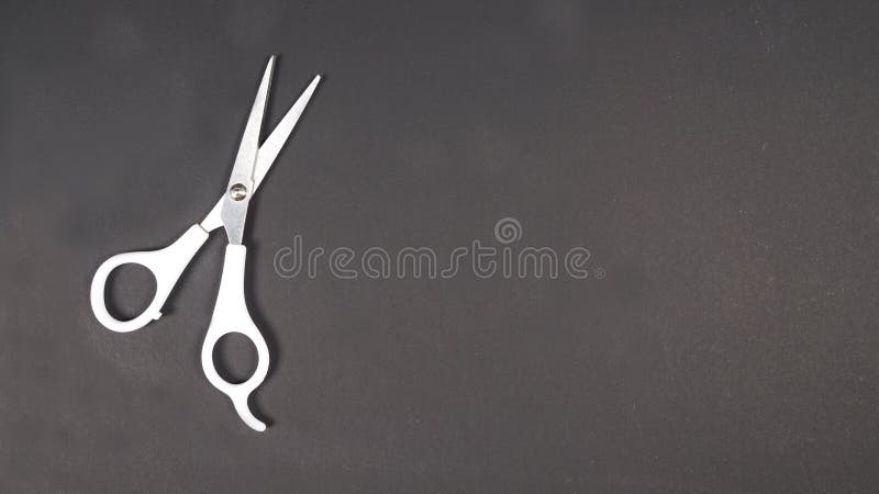 No Background Scissor Images Stock Photos - Free & Royalty-Free Stock ...