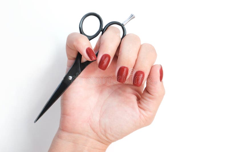 Barber Shop. Barber Hand Holding Scissors Stock Image - Image of copy ...