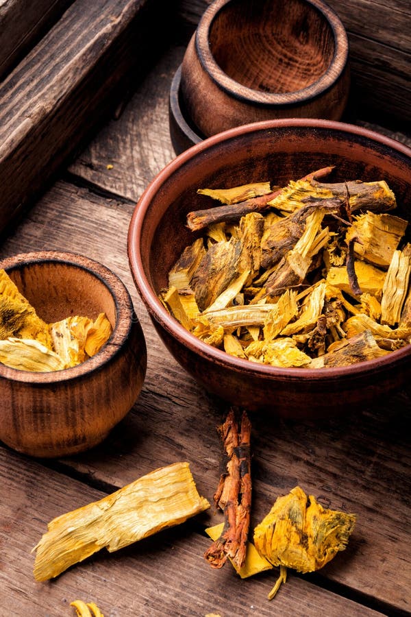 Barberry dried root stock photo. Image of golden, heap - 141732810