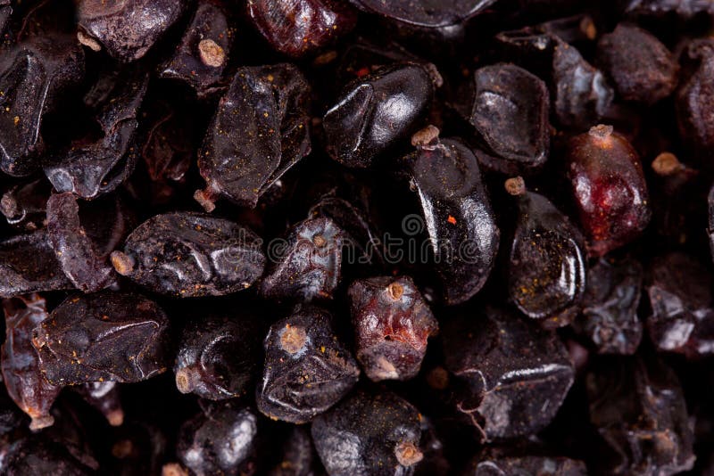 Barberry spice stock photo. Image of ingredient, brown - 10820662