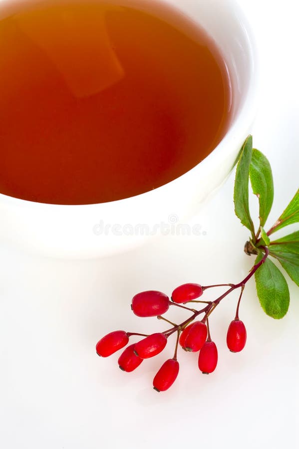 Barberry tea stock photo. Image of diet, fruit, flavor - 62127172