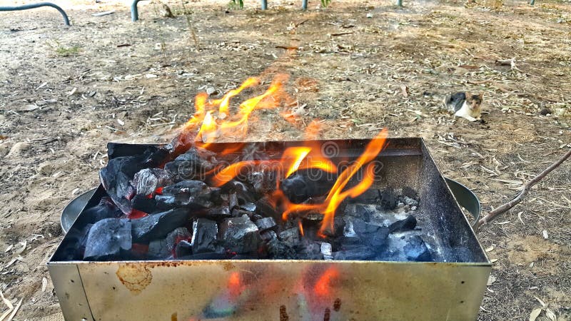 Barbeque fire stock image. Image of flames, outdoors - 20722197