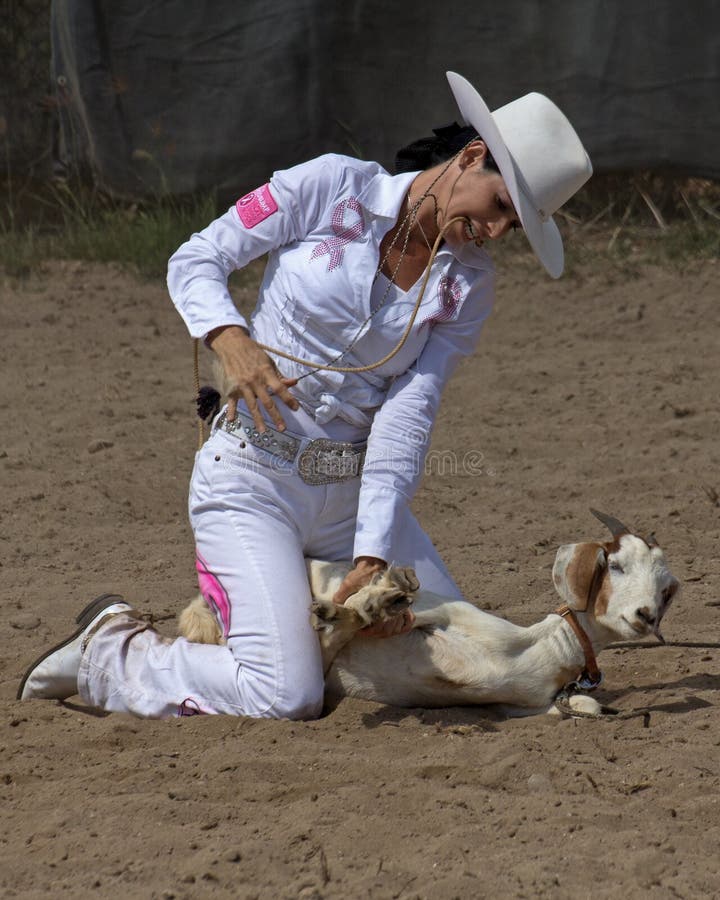 Cowgirl Goat Tying Stock Photos - Free & Royalty-Free Stock Photos from ...